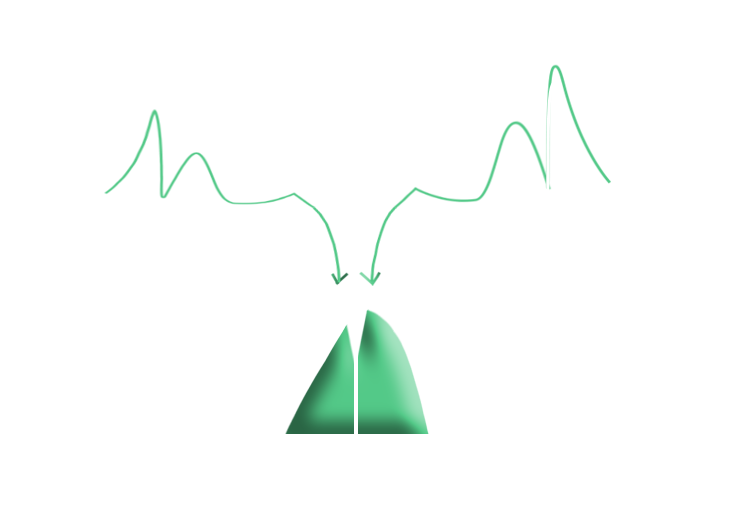 Pusher Bundle – CARP Audio